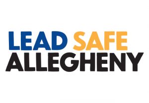 Our Coalition - Lead Free Promise Project